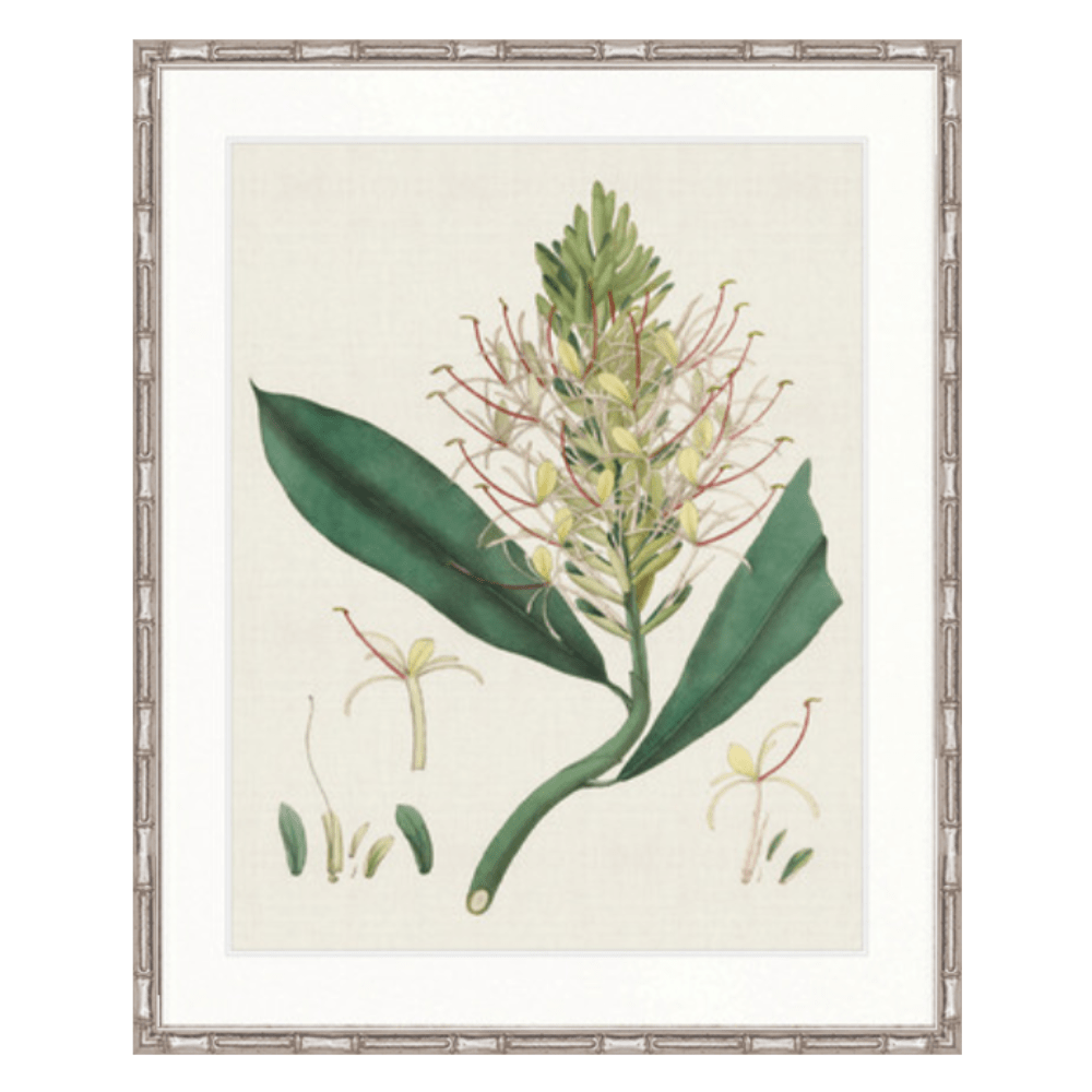 Designer Boys Exotic Garden Print I